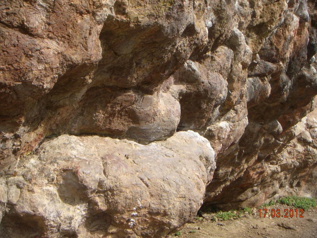 Friends of the Hermitage